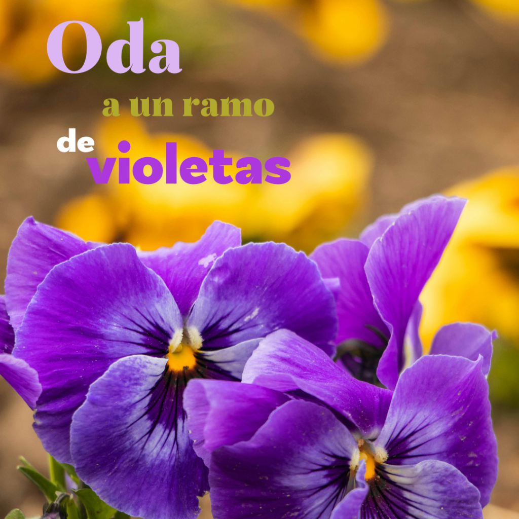 Oda a la cebolla - Portal Cultura de Fundación Pablo Neruda